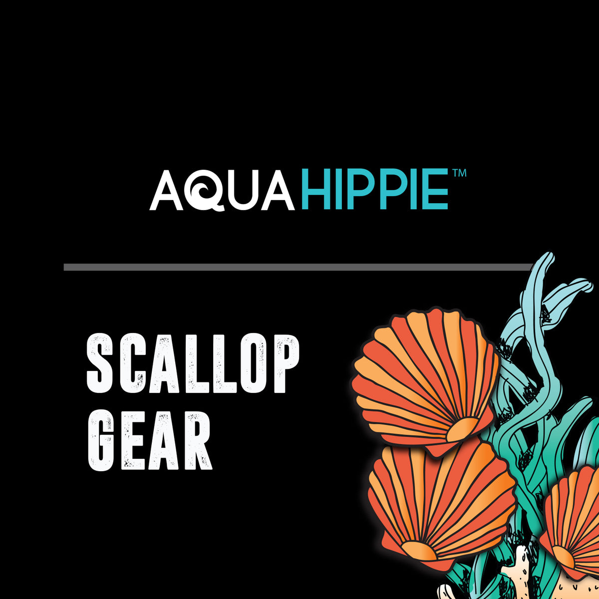 Scallop Gear – AQUA HIPPIE