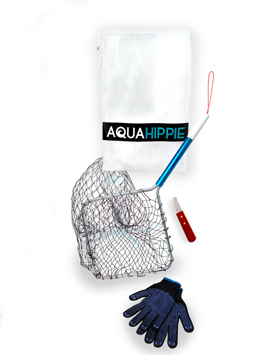The Quad Scallop Gear Set – AQUA HIPPIE